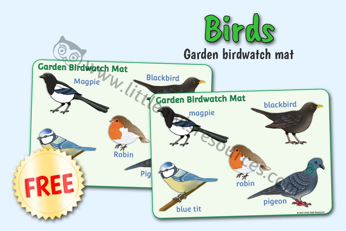 FREE UK Birds: Garden Birdwatch Word Mat | EYFS & KS1 Printables ...
