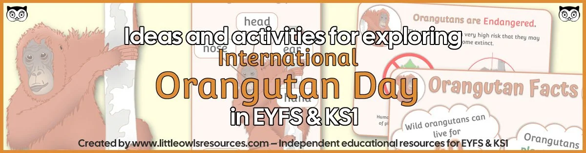 International Orangutan Day | EYFS & KS1 Activity Ideas — Little Owls ...