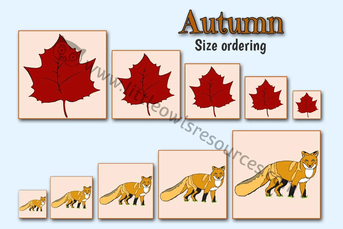 Autumn: Size Ordering Activity & Display Cards | EYFS Printables ...