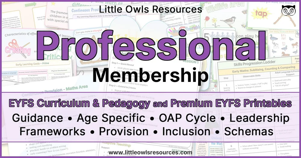 Professional EYFS Membership | Curriculum & Pedagogy Guidance — Little ...