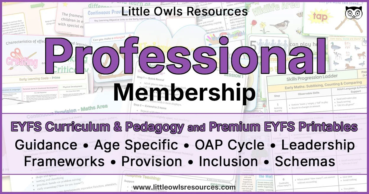 Professional EYFS Membership | Curriculum & Pedagogy Guidance — Little ...