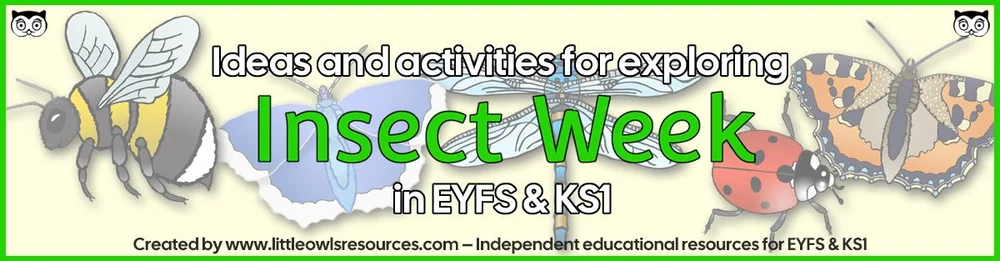 Insect Week | EYFS & KS1 Activity Ideas — Little Owls Resources - Free ...