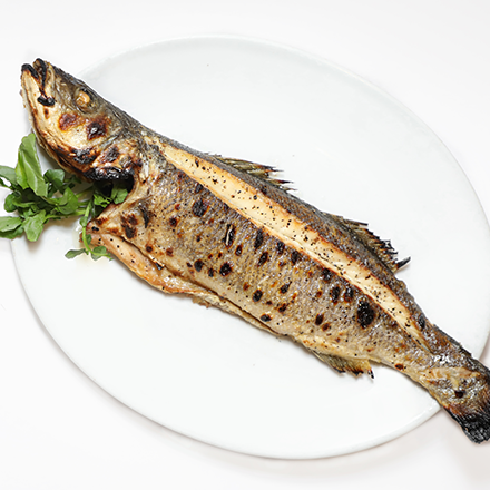 Gallery — Christos Steakhouse