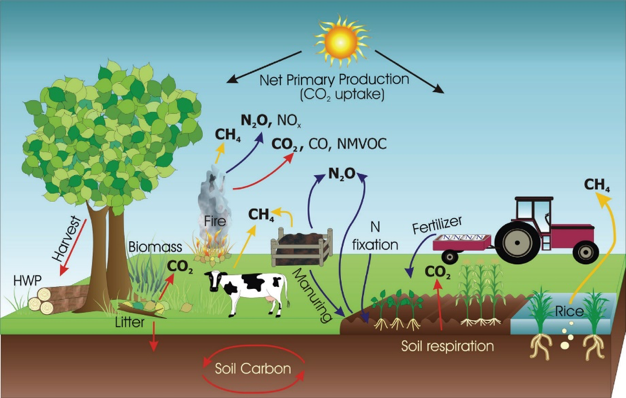 Carbon Farming Seminars — The AgriBusiness Group