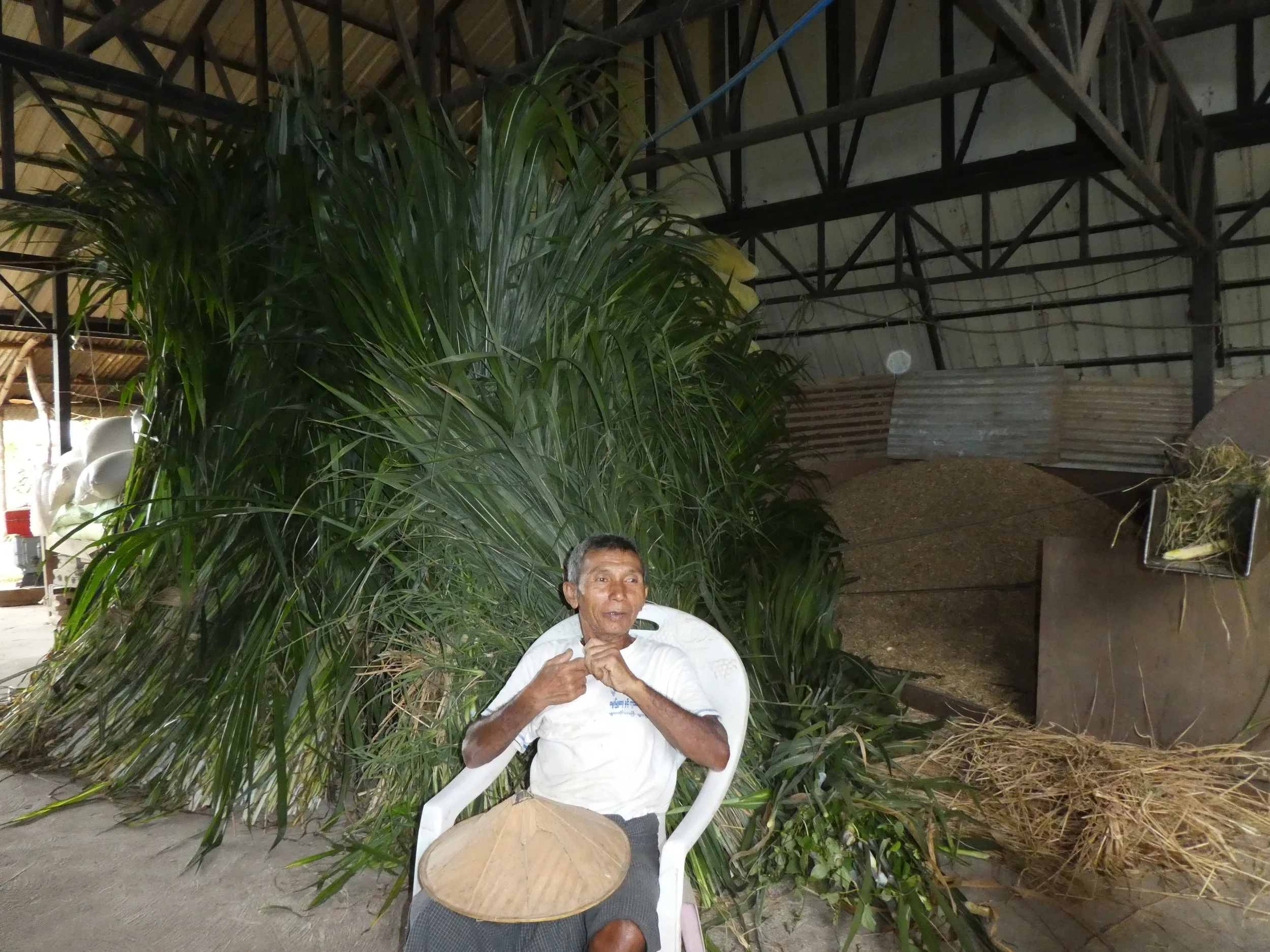 Myanmar Dairy Excellence Project — The AgriBusiness Group