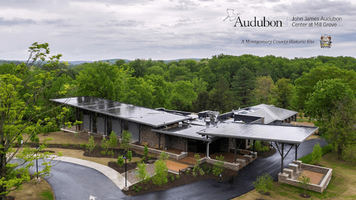 Exploring Audubon, PA: A Symphony of Nature and Community — MontCo Living