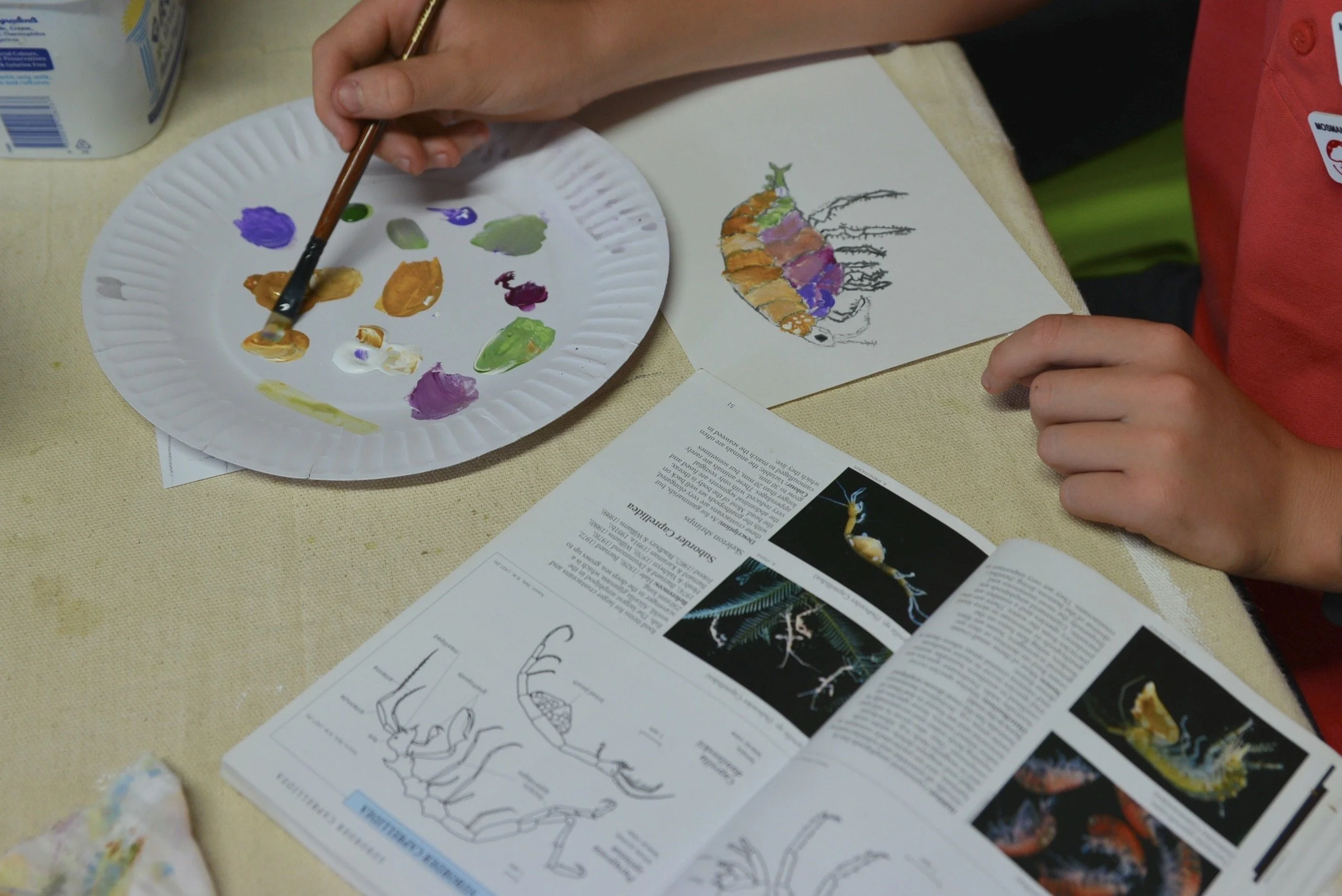 Leisure Workshops — ANGELA ROSSEN