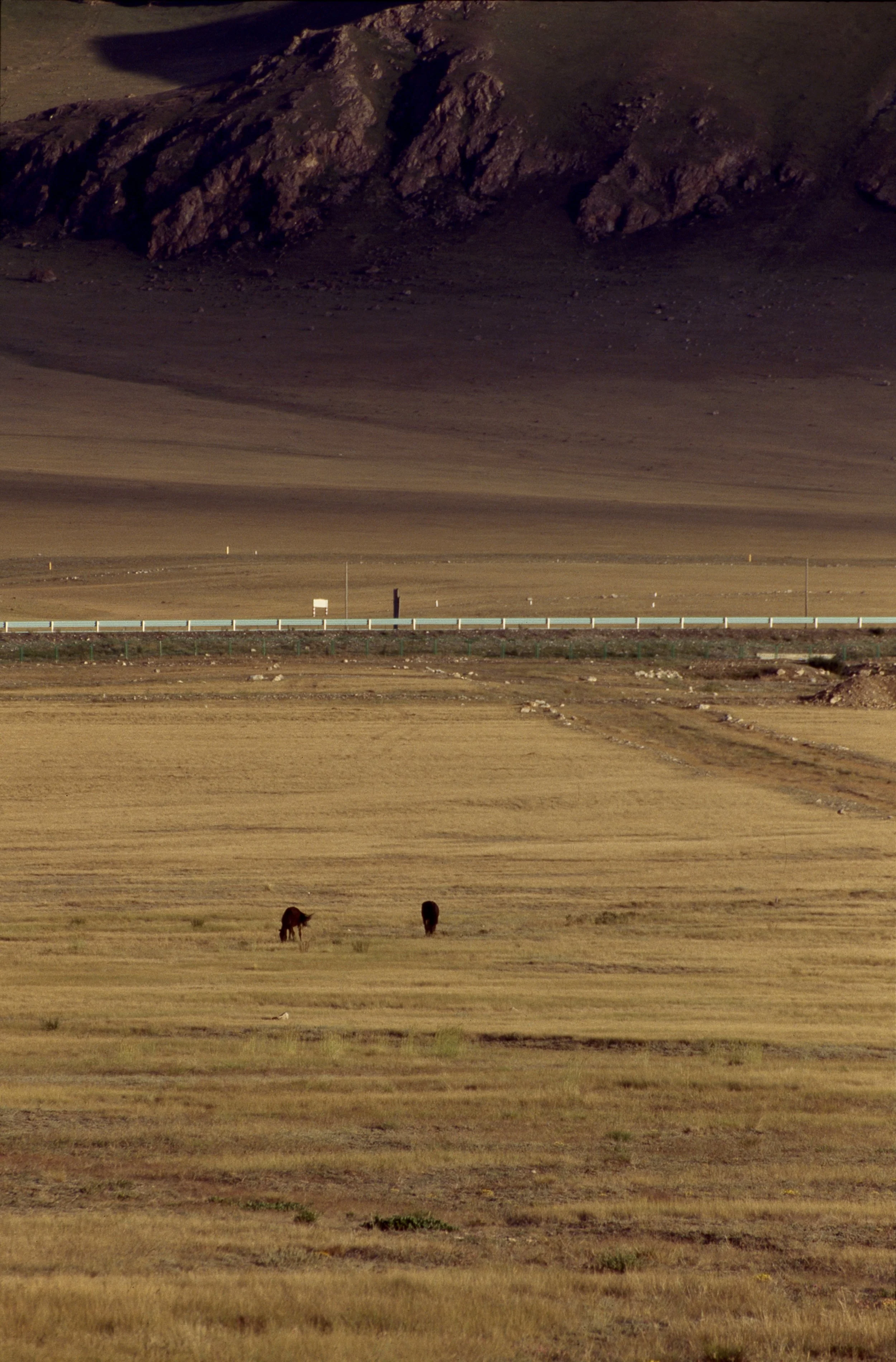 A LONG VACATION — Zhixiang Wang