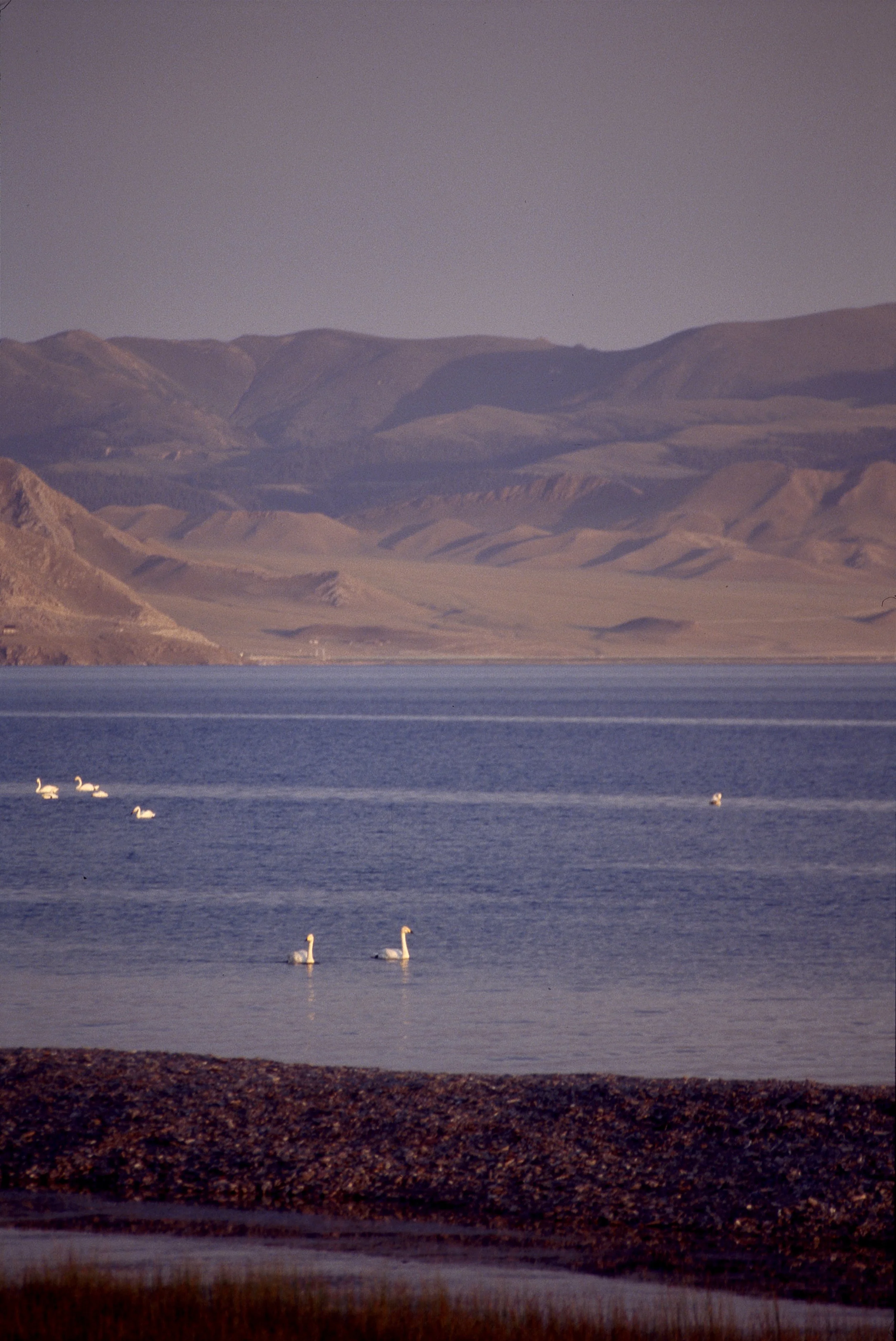 A LONG VACATION — Zhixiang Wang