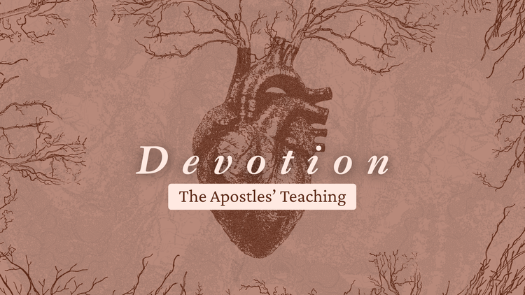 Devotion: The Apostles’ Teaching | Jon Tattersall — St John's Harborne