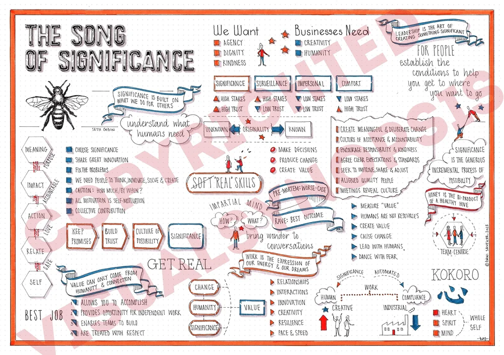 Be More Pirate (Sam Conniff) visual synopsis by Dani Saveker — Visual ...