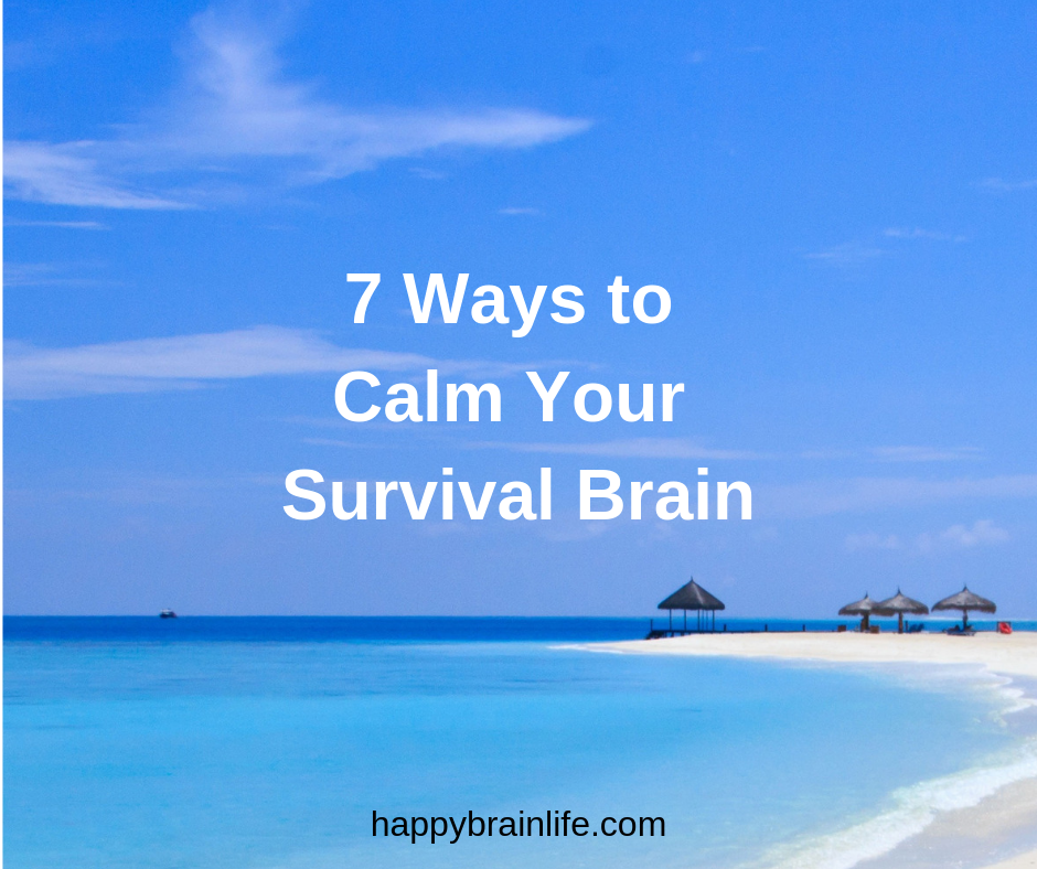 7 Ways to Calm Your Survival Brain — Happy Brain Life