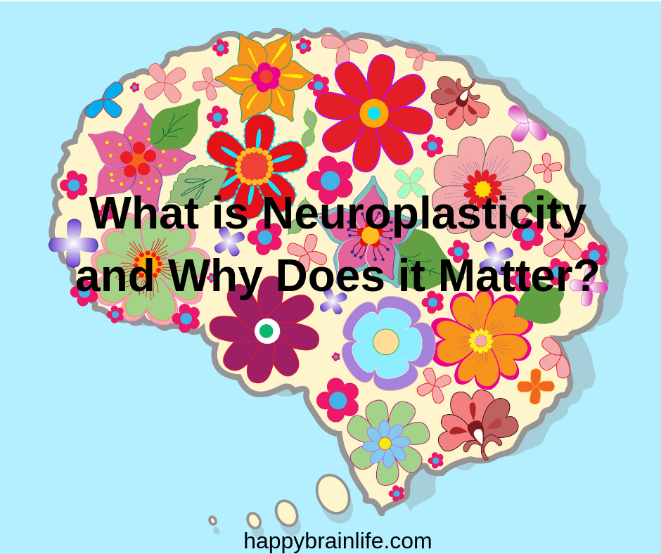 What is Neuroplasticity and Why Does It Matter? — Happy Brain Life