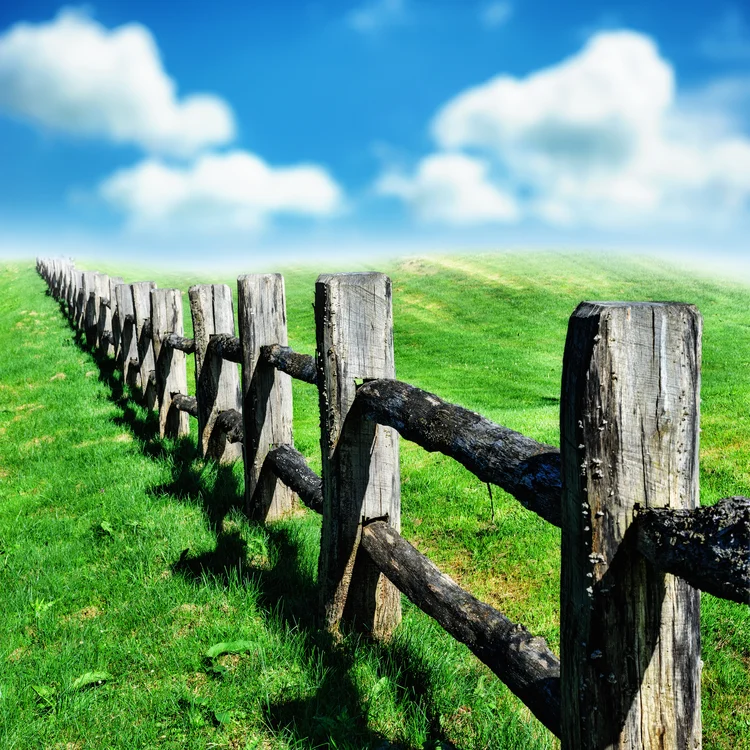 5 Ways to Build Better Boundaries — Happy Brain Life