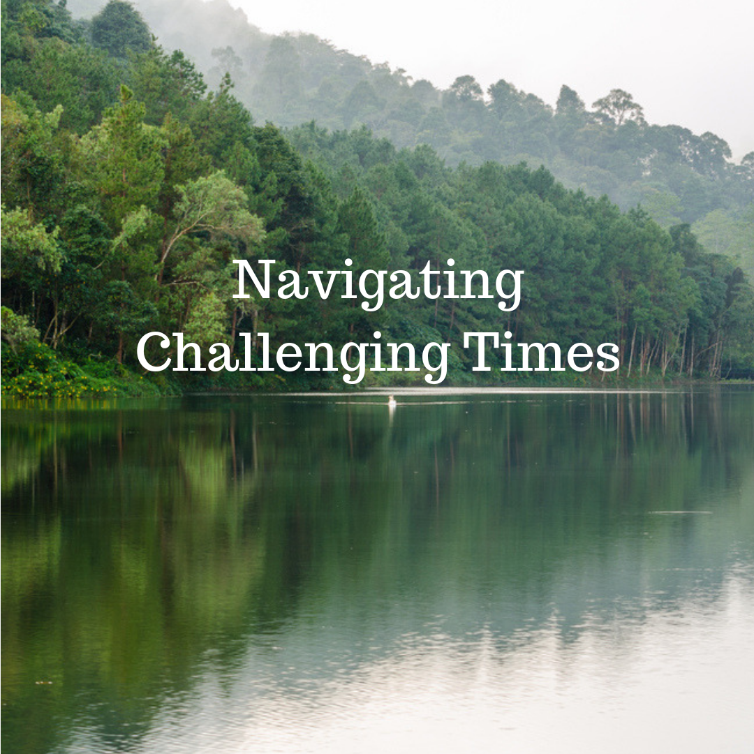 Navigating Challenging Times — Happy Brain Life