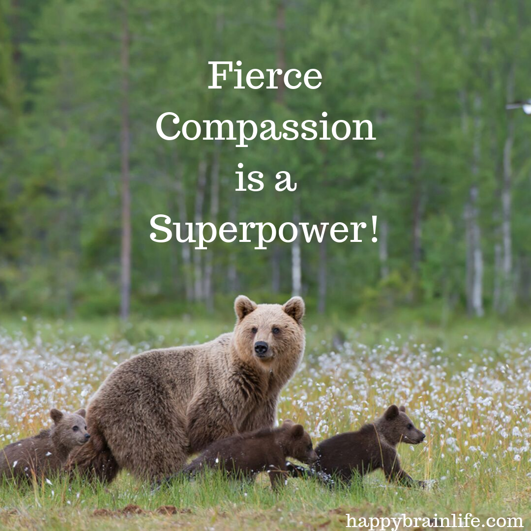 Fierce Compassion is a Superpower! — Happy Brain Life
