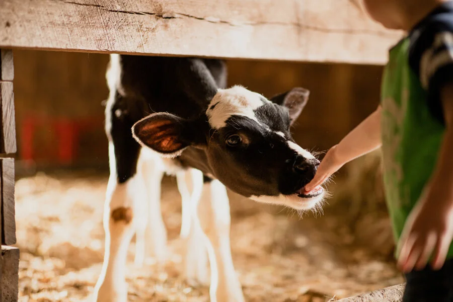 Support — Central Mass Grown