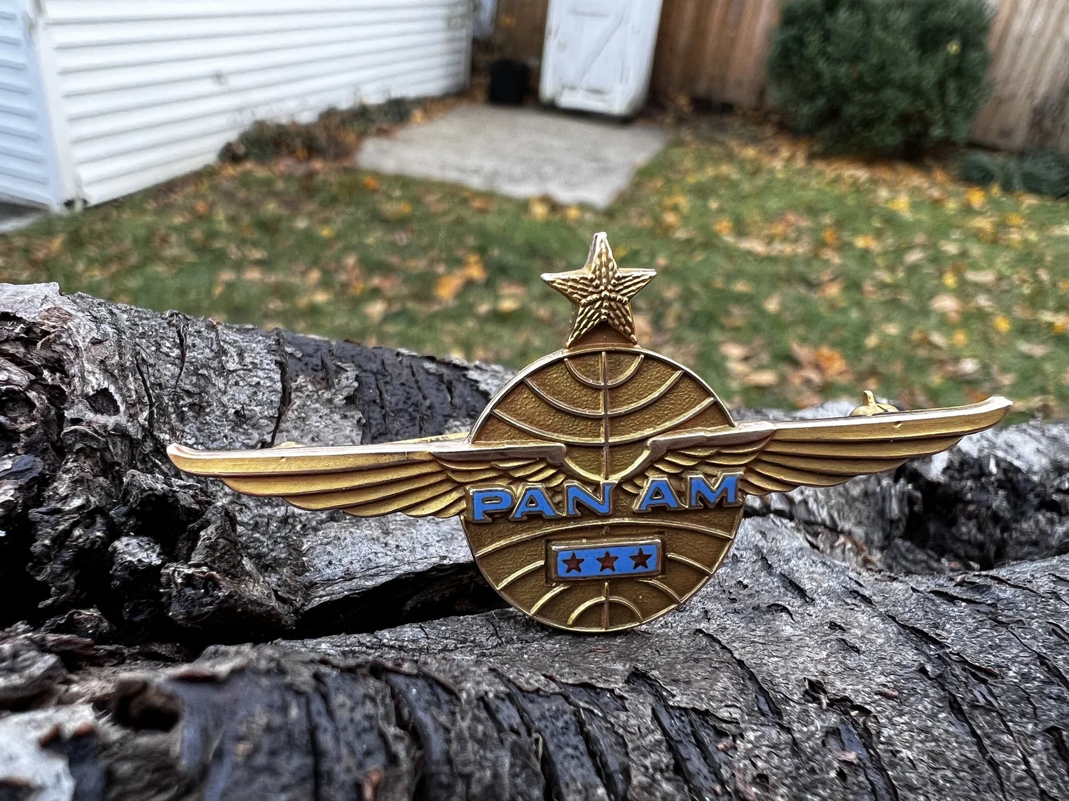 Pilot Wings Badge