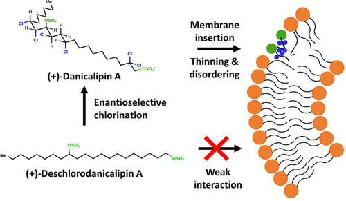 Publications — Burns Lab