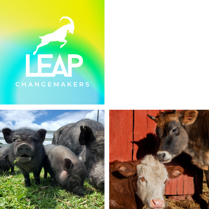 LEAP — Tamerlaine Sanctuary & Preserve