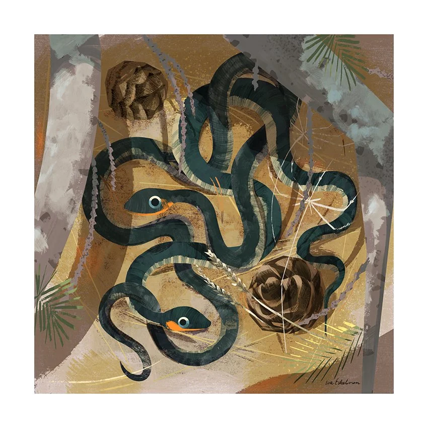 Illustration — Eva Vilhelmiina