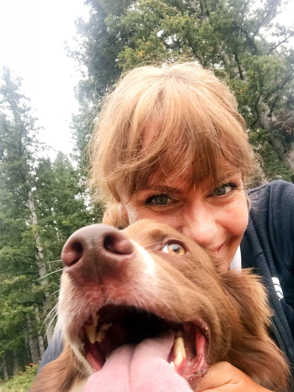 OUR TEAM — ASSISTANCE DOGS OF THE WEST