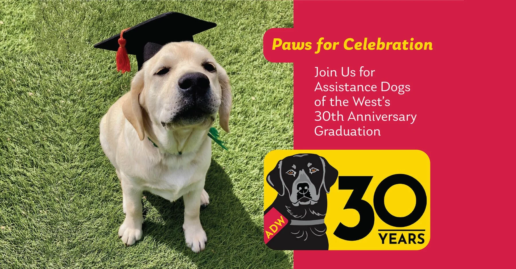 ASSISTANCE DOGS OF THE WEST