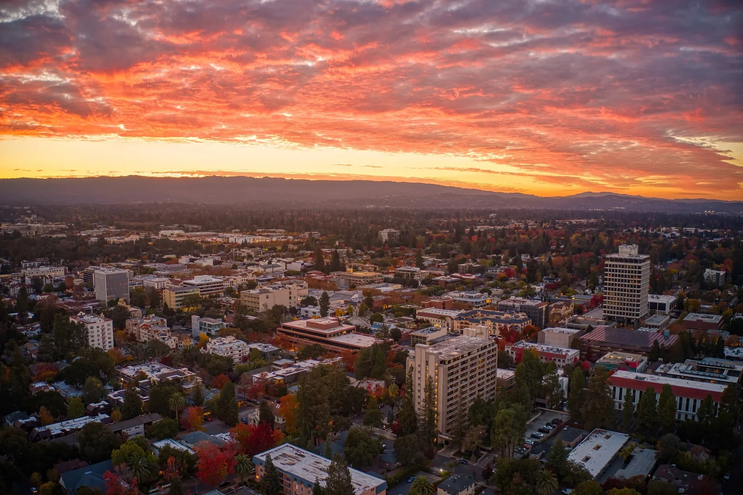 Palo Alto Real Estate Photography — Home Shots