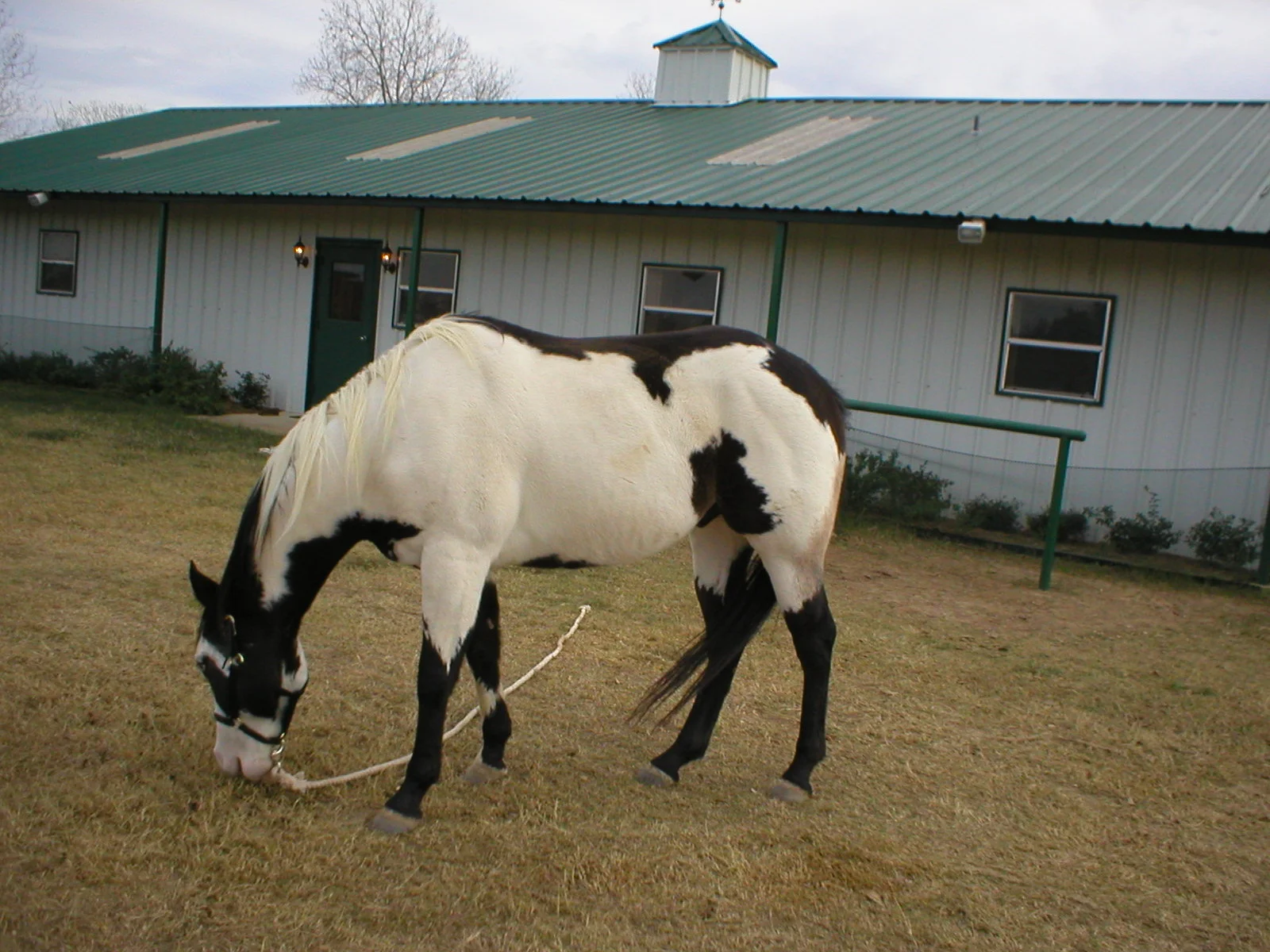 Facilities — Painted Ridge Farm Horse Boarding and Stables