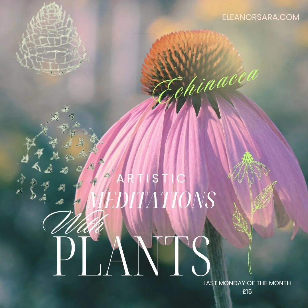 Botanical Art Classes, Art Therapy with Plants, School of Botanical Arts