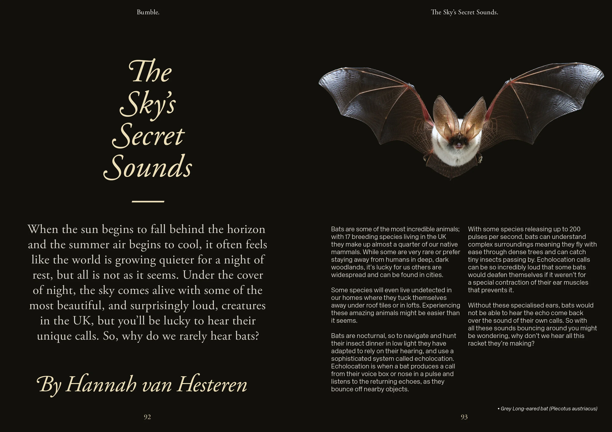 Bumble Magazine — Monkey Wrench