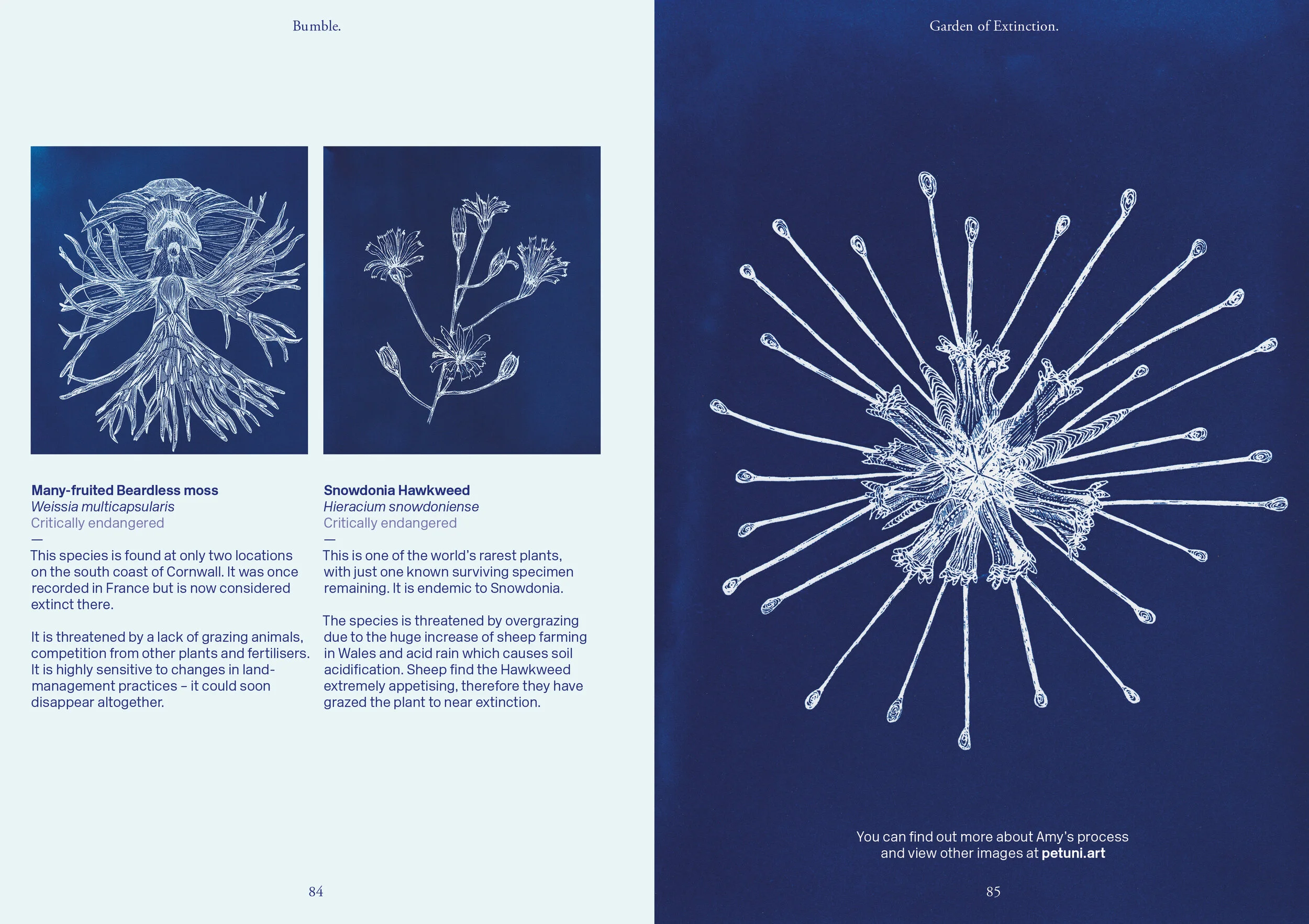 Bumble Magazine — Monkey Wrench