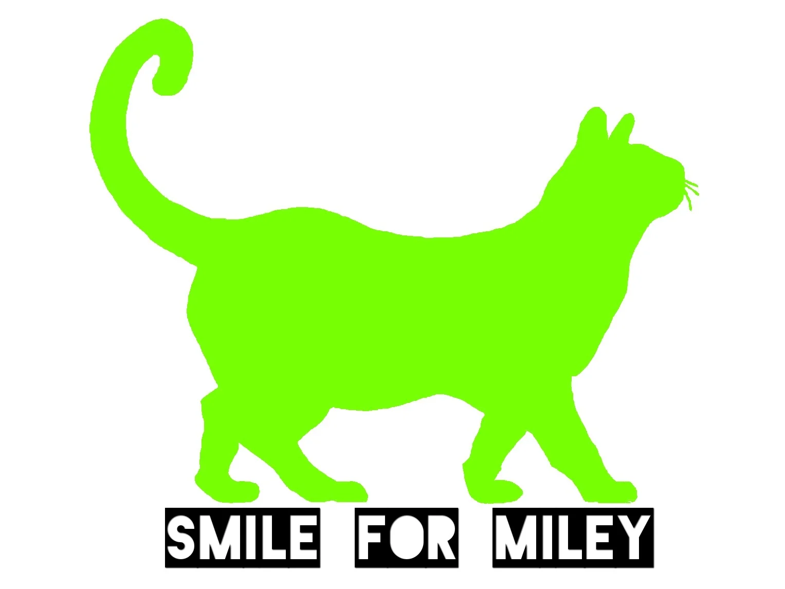 Smile for Miley