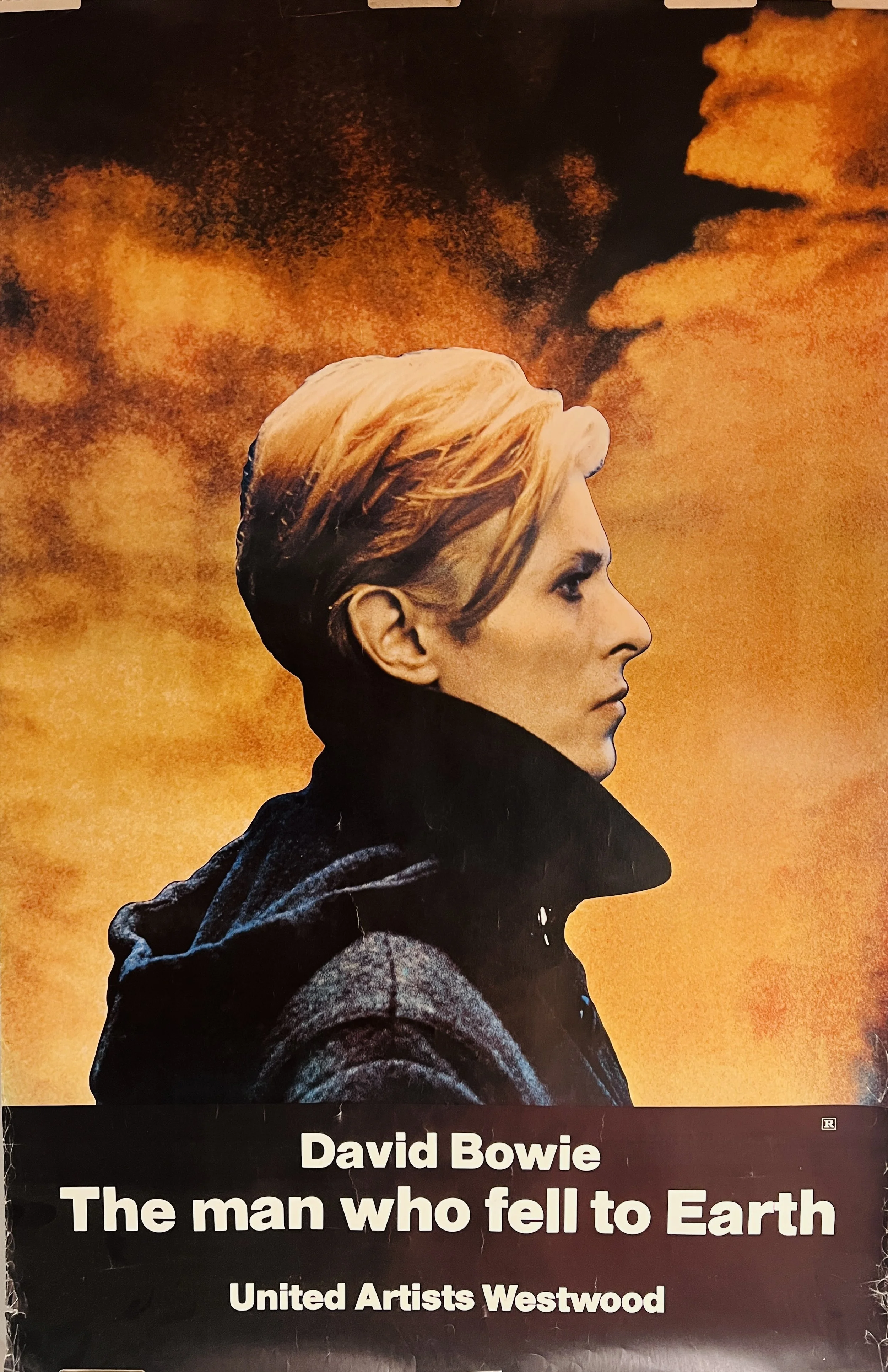 David Bowie The Man Who Fell To Earth Poster