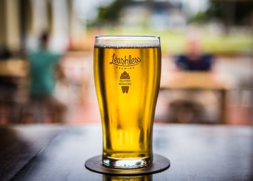 Beers — Leashless Brewing