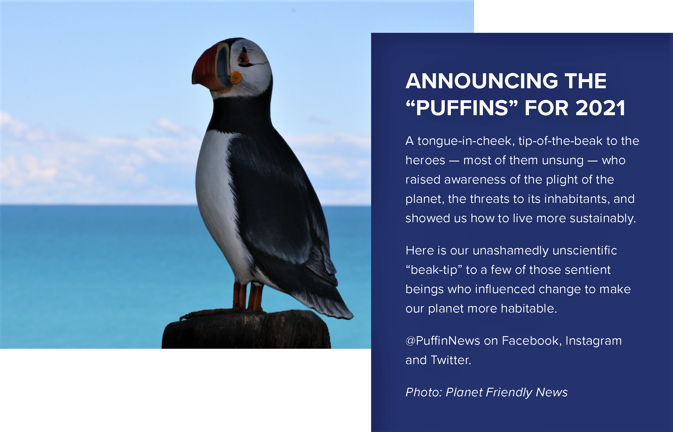 Issue No. 37 — Planet Friendly News