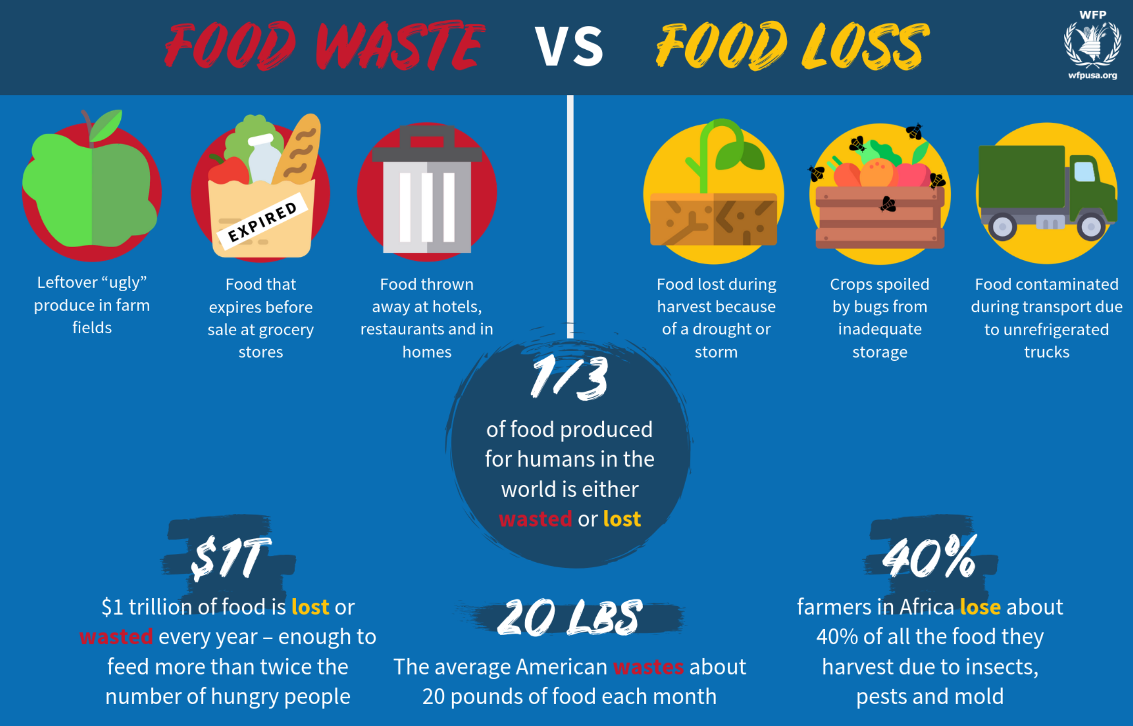 Fighting Food Waste And Food Loss Might Be The Best Gift You Can Give