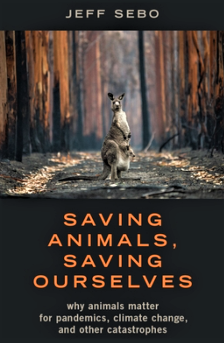 Save Animals and We Save Ourselves — Planet Friendly News