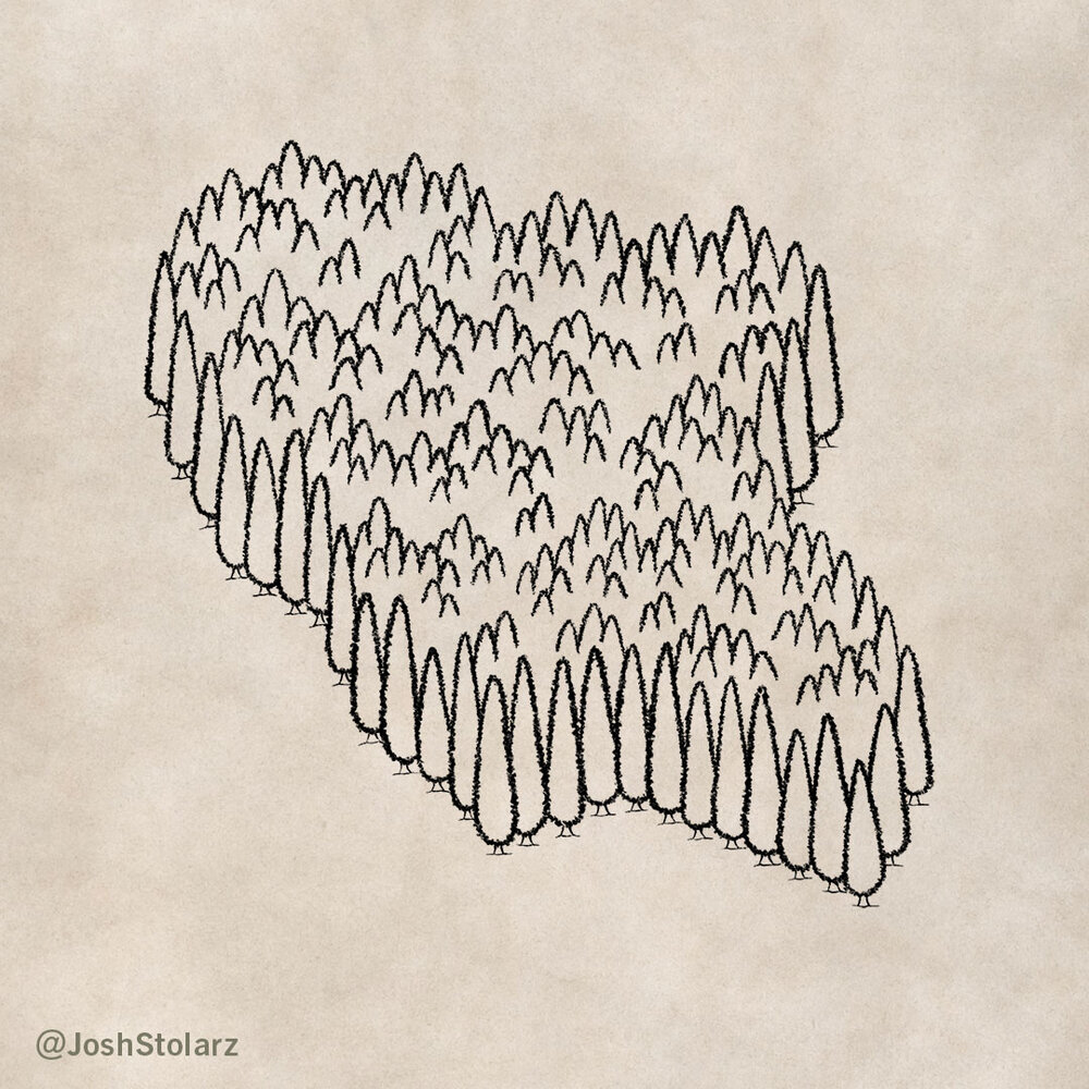 How to Draw Forests — Map Effects