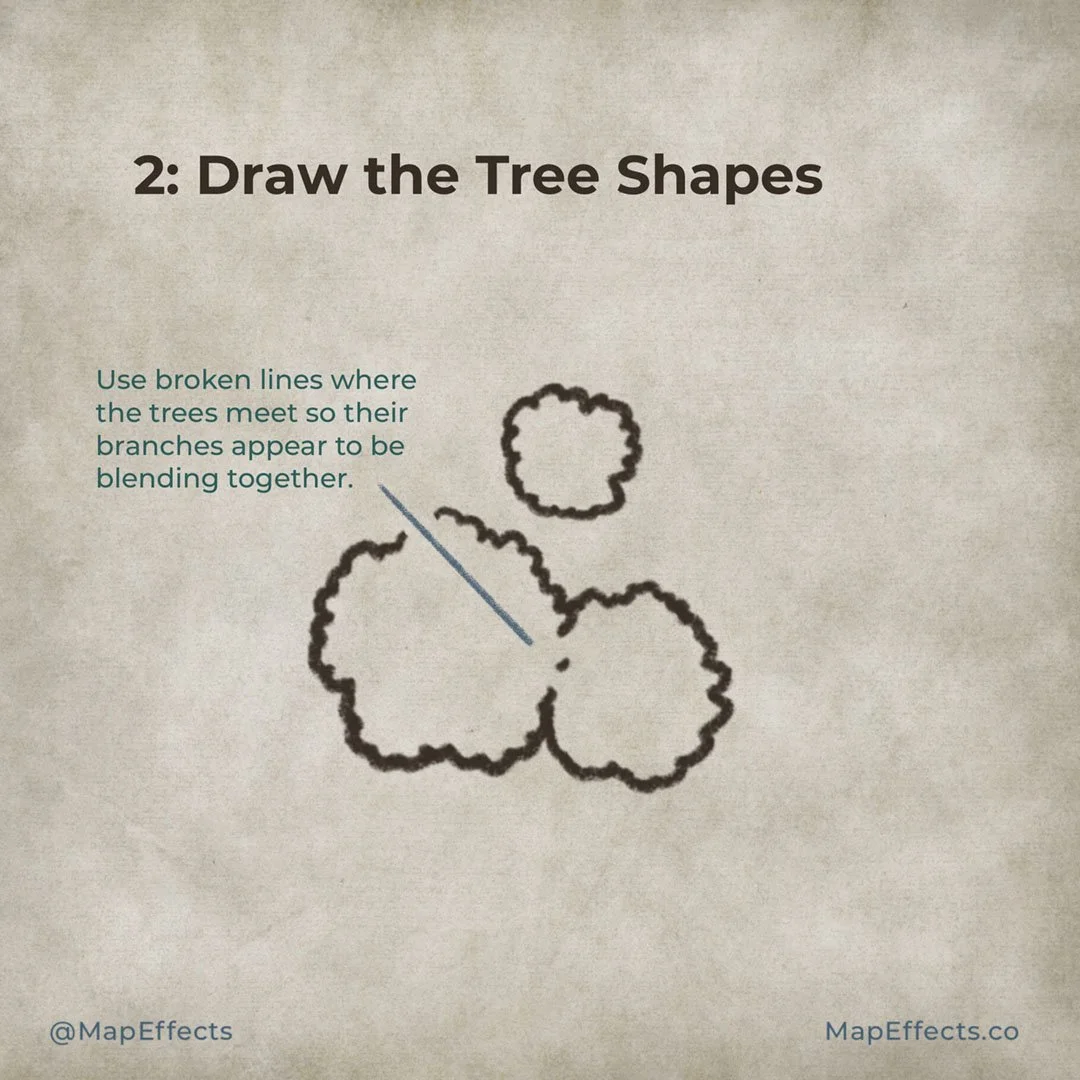 How to Draw Forests | Top Down Trees — Map Effects