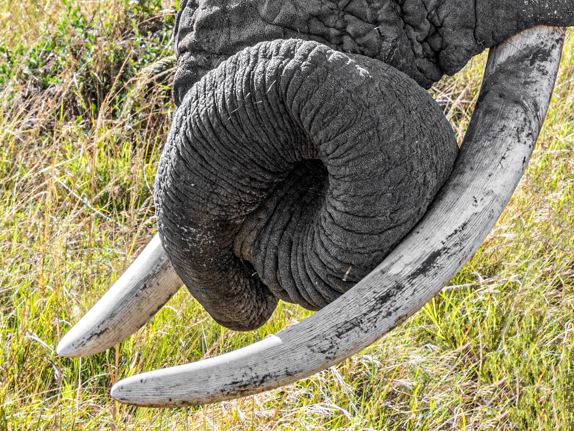 Photography — Jen Hellman Art