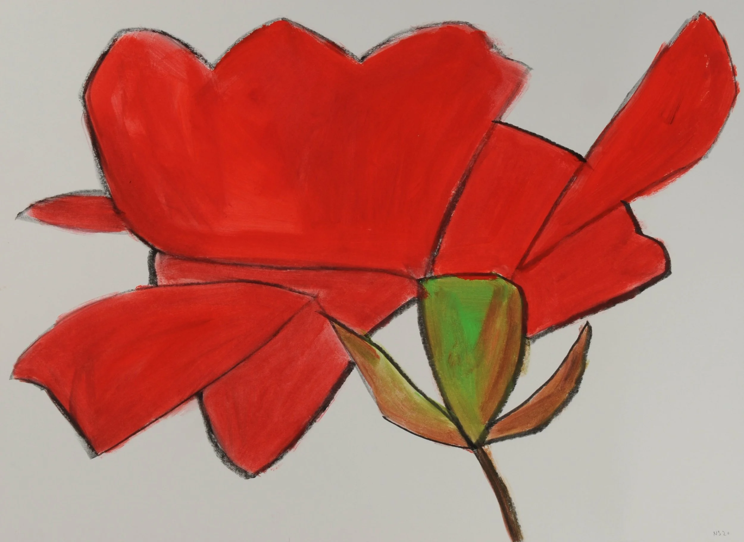 Acrylic Flower Paintings. 2020 to 2022. — Nigel Swift Fine Art