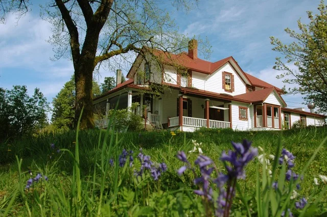 EXPERIENCE — Mara Jernigan