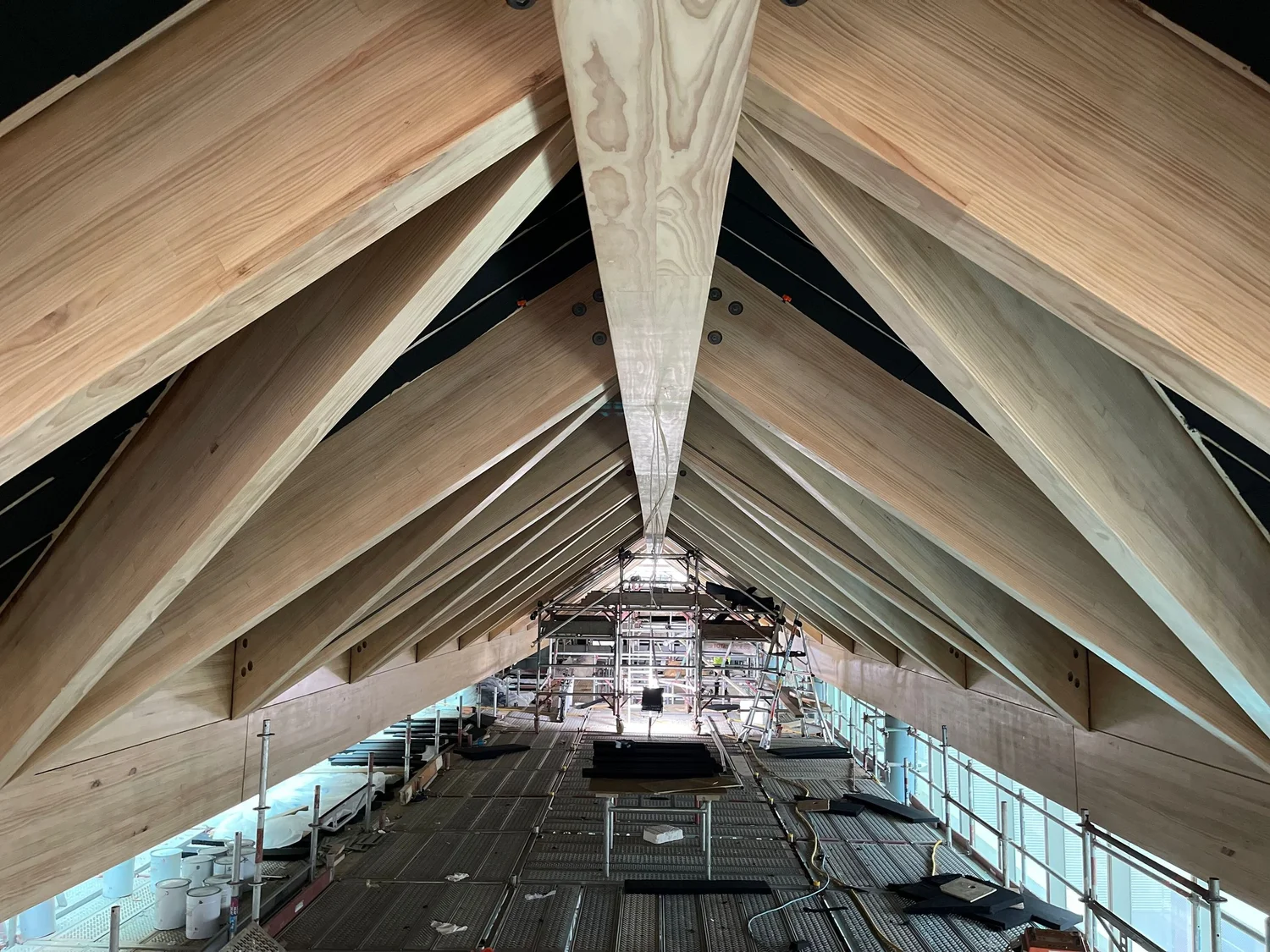 Kobe Construction NZ I Mass Timber Construction Specialists