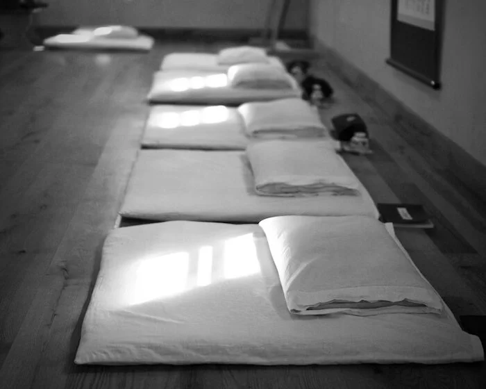 Online Zendo | Virtual Dojo — Chosei Zen