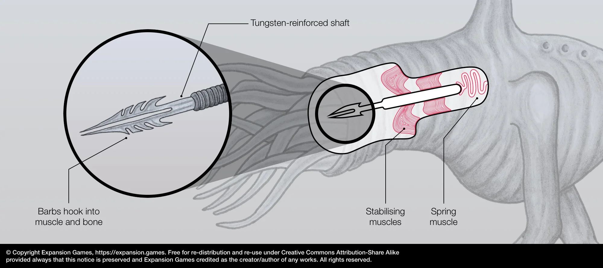 Squid — Space Exploration Ventures