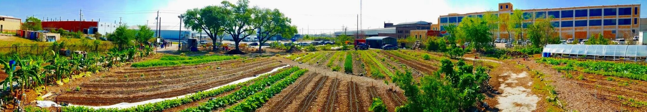 Small Places | Houston Urban Farming