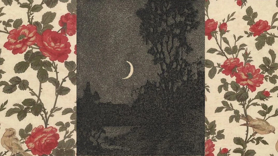 molly ledbetter — b l u s h