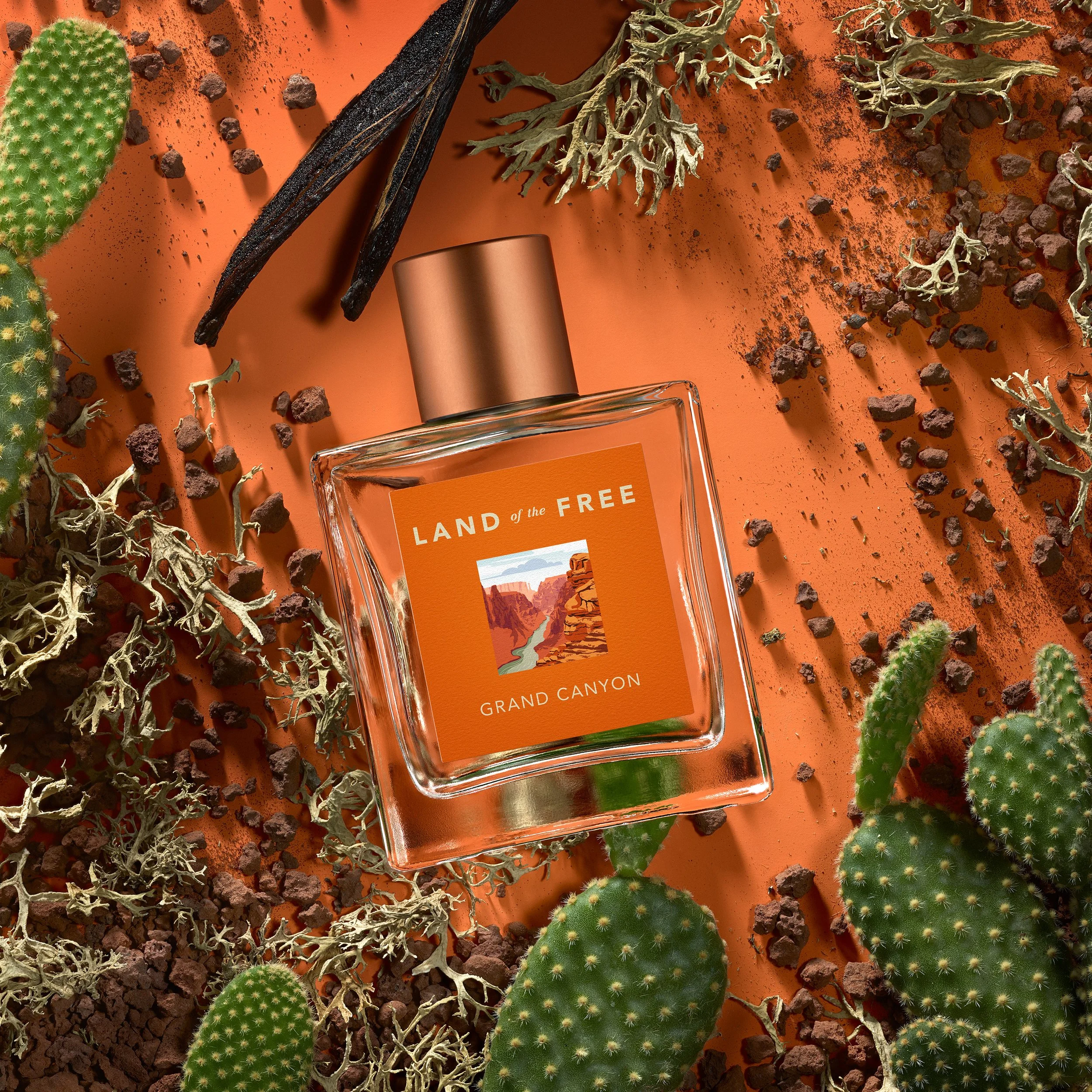 land of the free — Kate Doheny