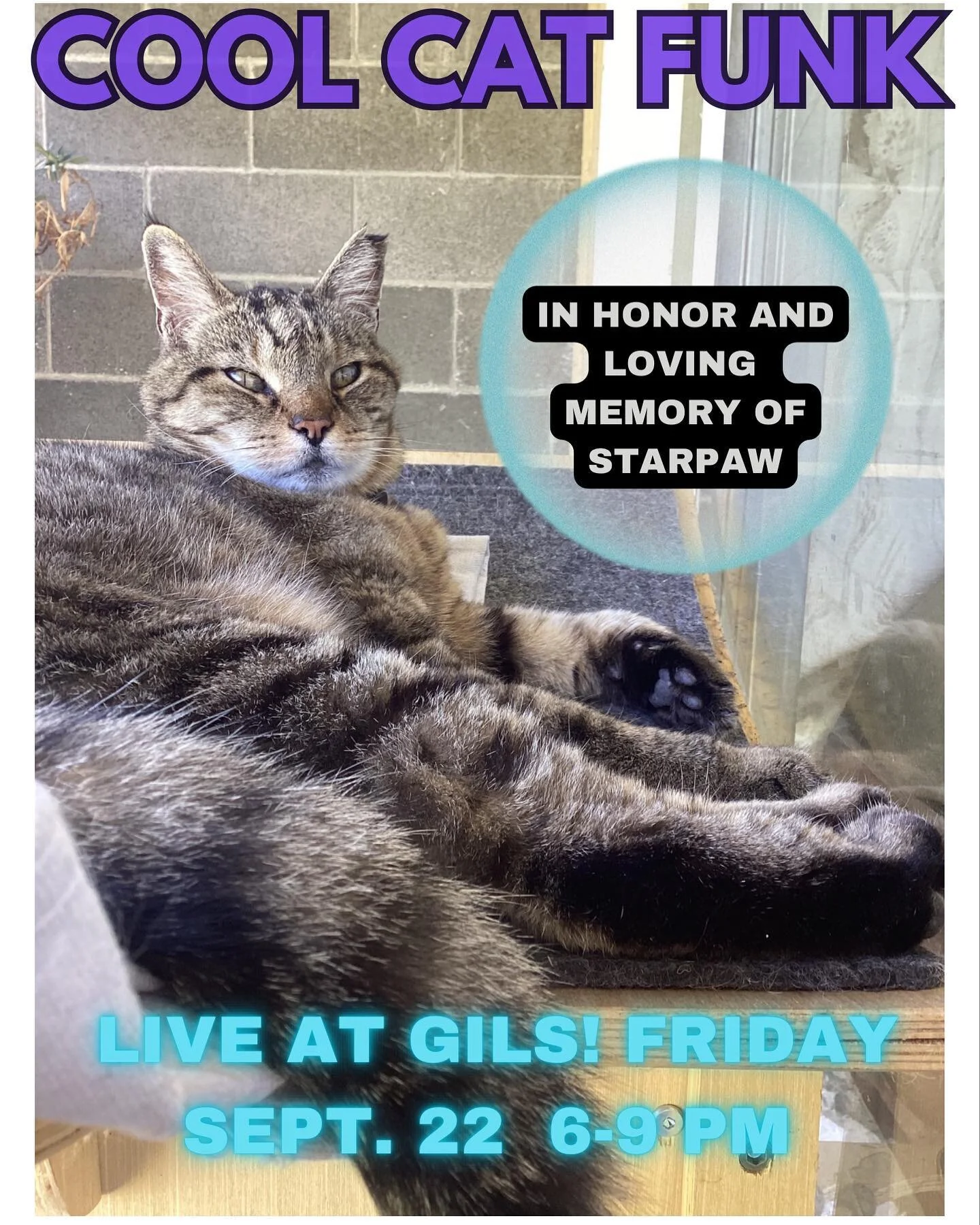Cool Cat Funk